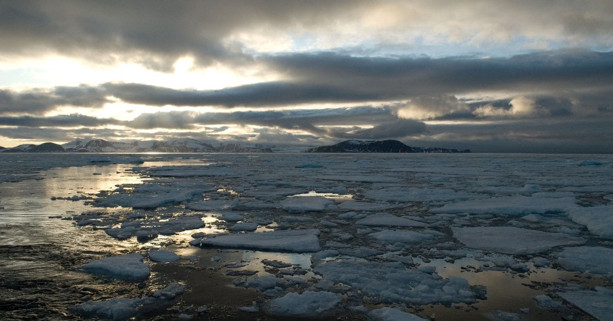 Wild Classroom Curated Collections: Climate Change | World Wildlife Fund