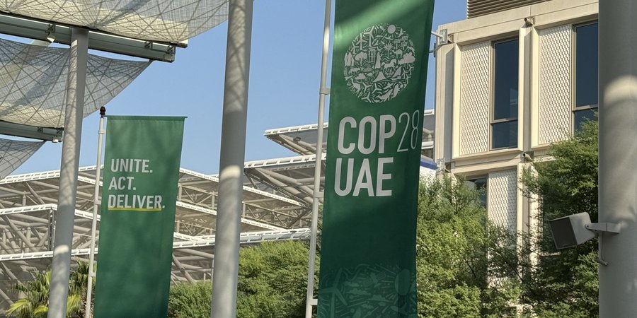 Is COP28 Worth It? Understanding Global Climate Action | World Wildlife Fund