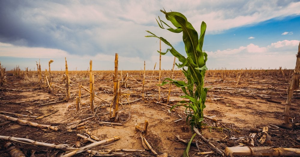 Climate Change Is Outpacing Our Global Food System | World Wildlife Fund