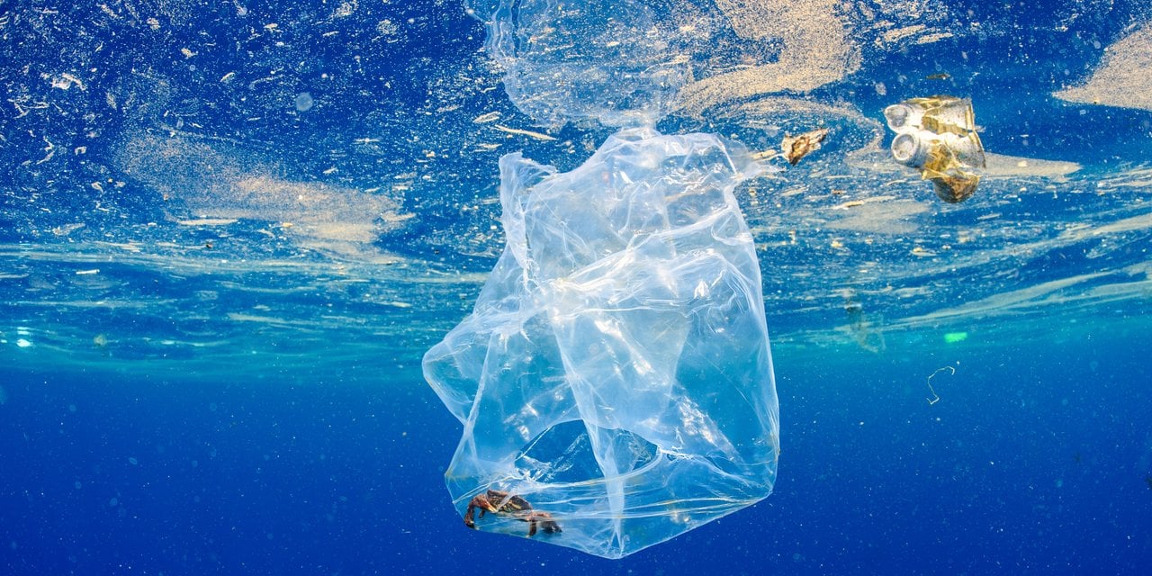 Reuse Innovation Tackles Plastic Pollution in Petaluma | WWF