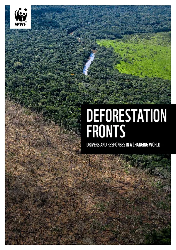 Deforestation Fronts | WWF