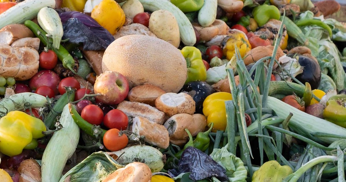 Food Waste Prevention Week Sparks Action Nationwide | World Wildlife Fund