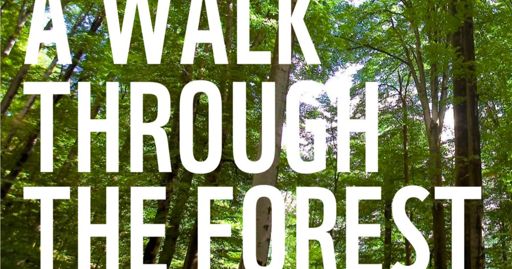 Forest Guide | WWF