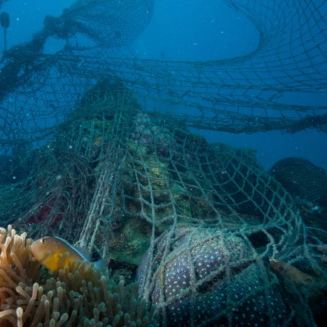 Stopping Ghost Gear | World Wildlife Fund