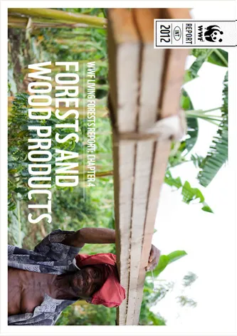 WWF's Living Forest Report: Chapter 4 - Forests and Wood Products ...