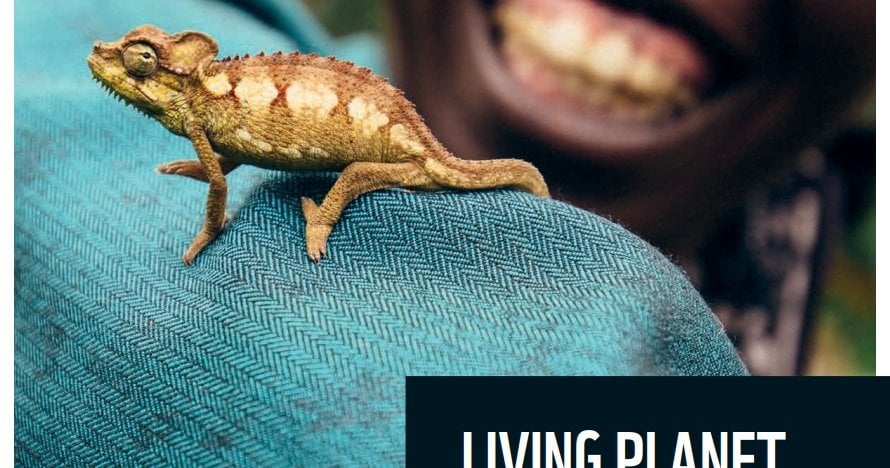 Living Planet Report 2020 | World Wildlife Fund