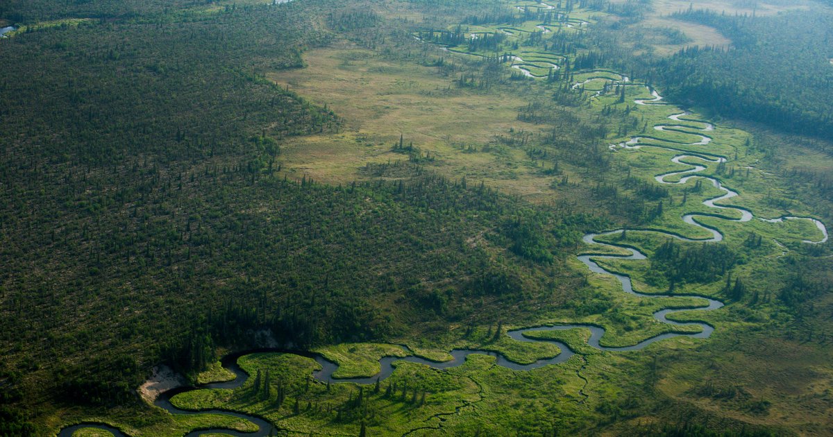 Swimways: Another Reason to Protect Rivers | World Wildlife Fund