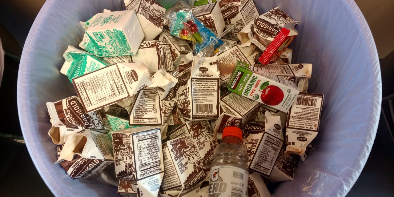 WWF Study Reveals Milk Waste Crisis in U.S. Schools | World Wildlife Fund