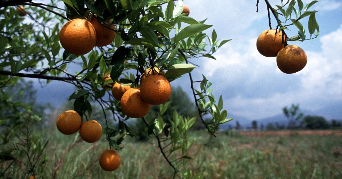 Zero Food Waste Coalition Launches to Tackle Food Loss | World Wildlife ...