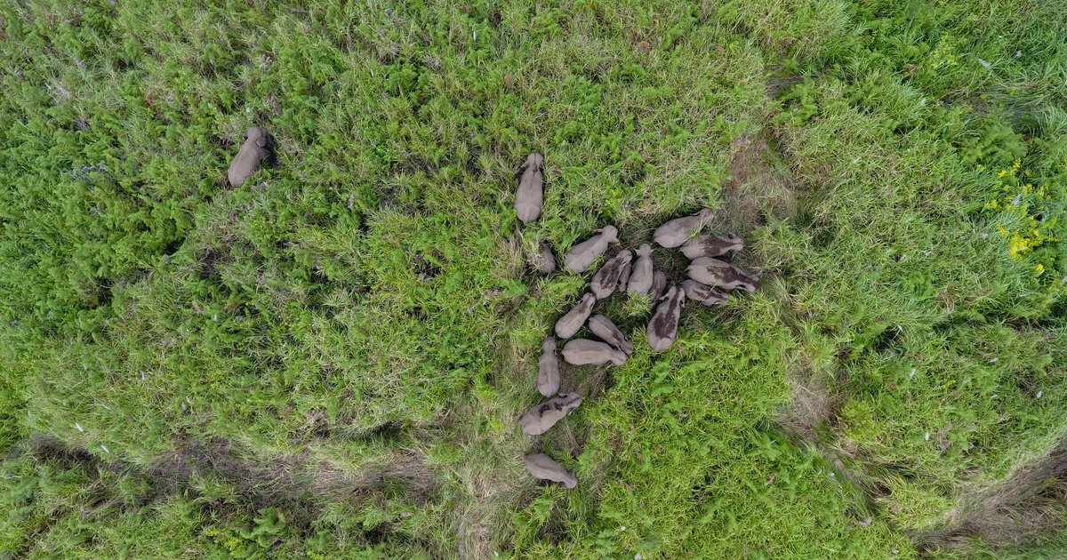 Humans must learn to coexist with nature | World Wildlife Fund