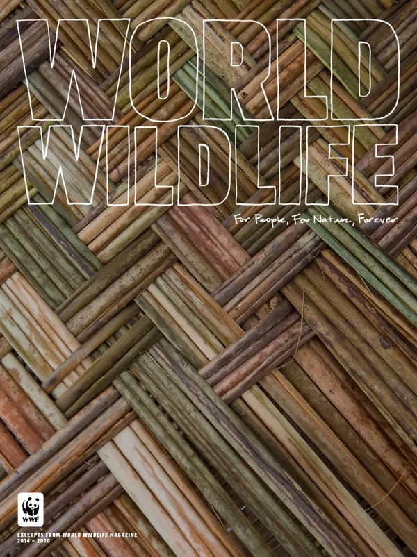 World Wildlife: For People, For Nature, Forever | World Wildlife Fund