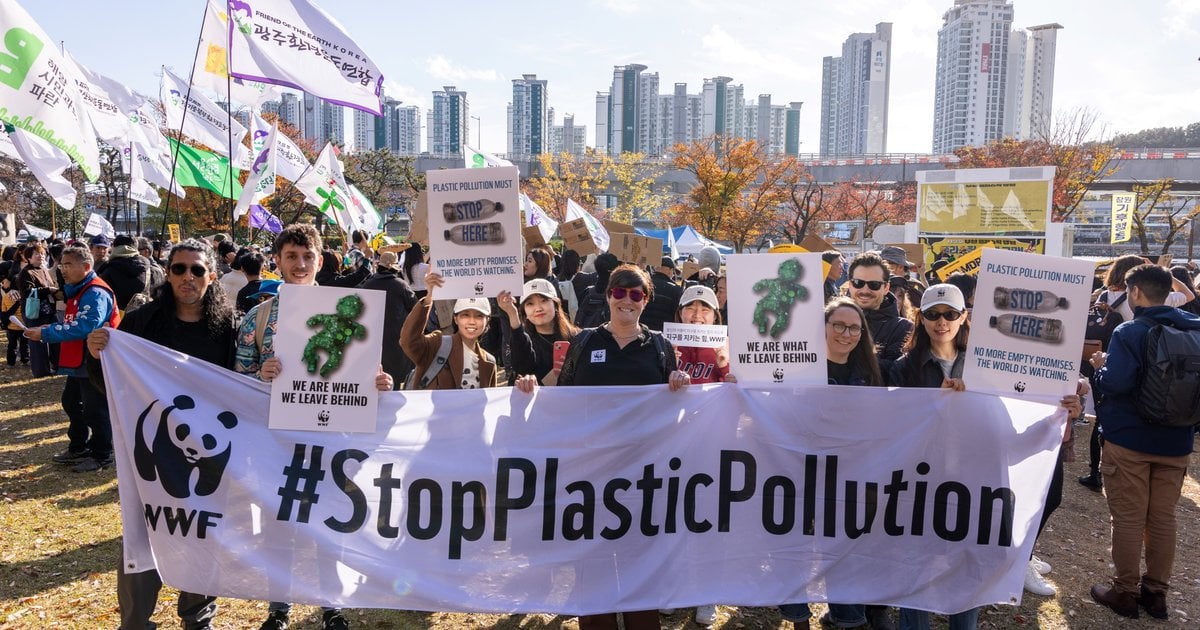 Take Action for WWF | WWF Action Center | World Wildlife Fund