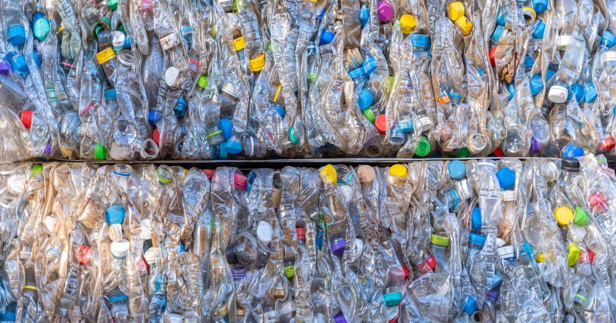 A smarter, fairer way to recycle | World Wildlife Fund