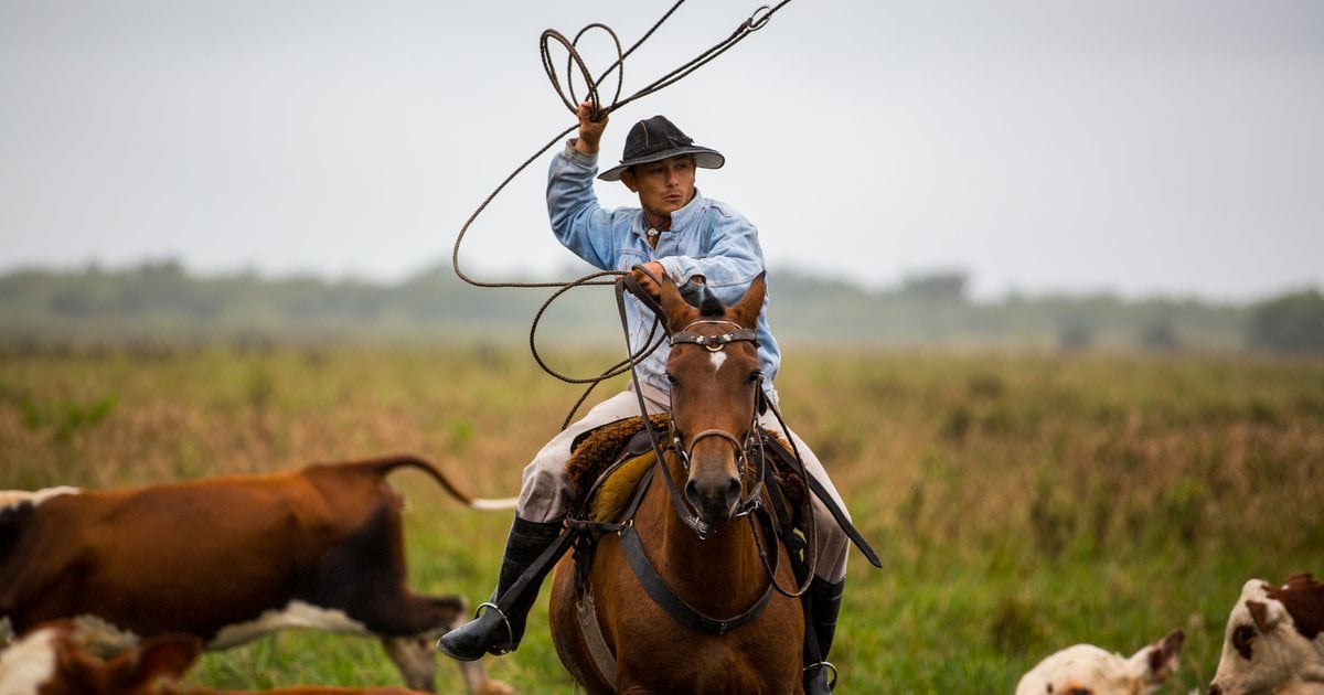 Why WWF Cares About Meat, Poultry, Dairy, and Seafood | WWF