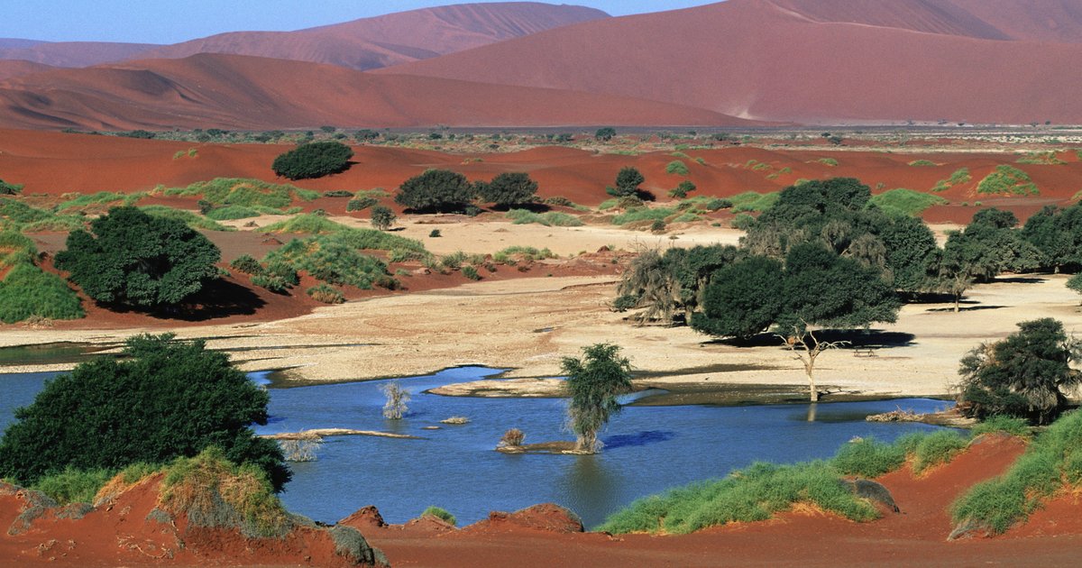 Enduring Earth: Accelerating Sustainable Finance Solutions t | WWF
