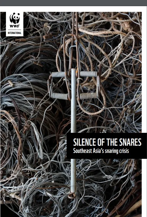 Silence of the Snares: Southeast Asia's Snaring Crisis | WWF