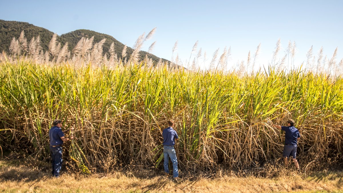 Biobased Plastics: A Tool for Corporate Sustainability | World Wildlife ...