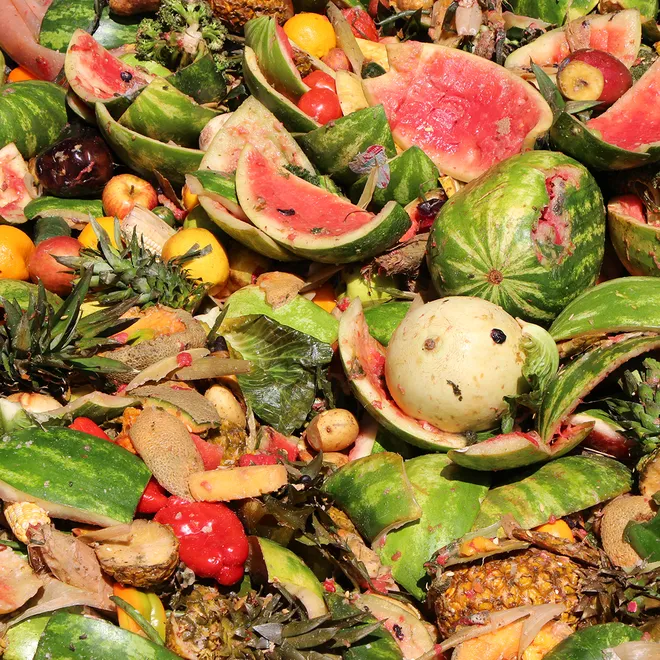 Markets Institute: Preventing Food Waste | World Wildlife Fund